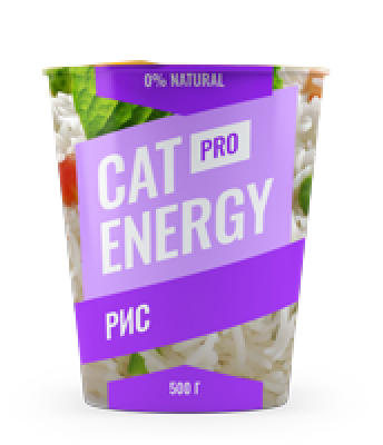 Cat Energy